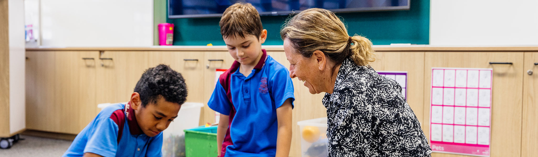 New Farm State School